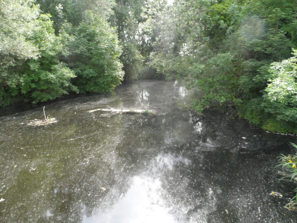 STAD – De Rietgracht, wa’s da? – persblog.be